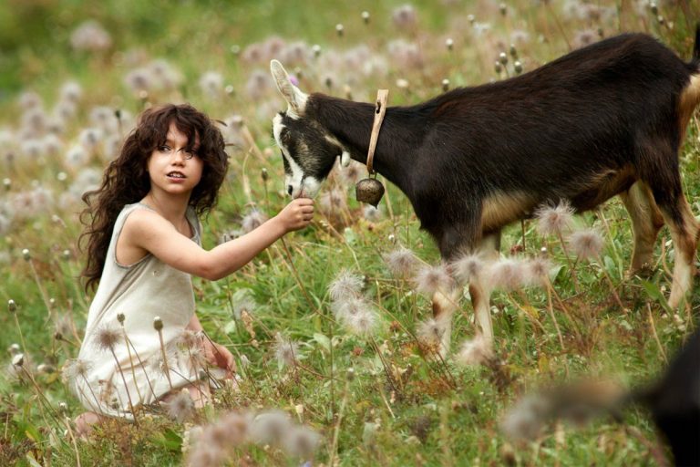 alamy-review